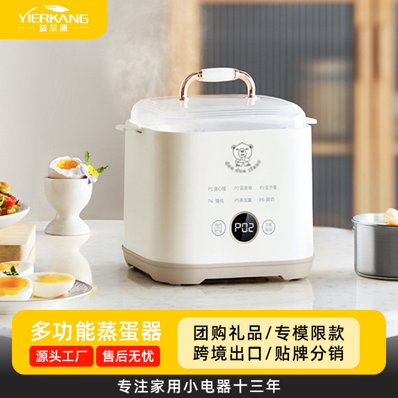 110V Egg Boiler Mini Egg Machine Breakfast Machine Hot Spring Egg ...