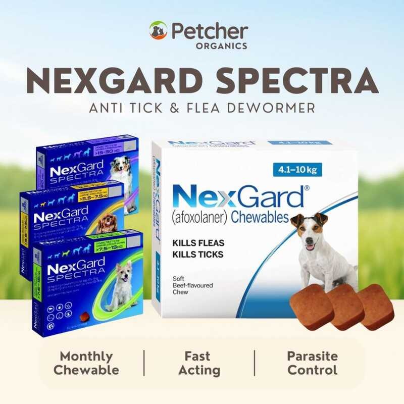 Nexgard Spectra Deworming Anti Tick And Flea For Dogs Monthly Chewable ...