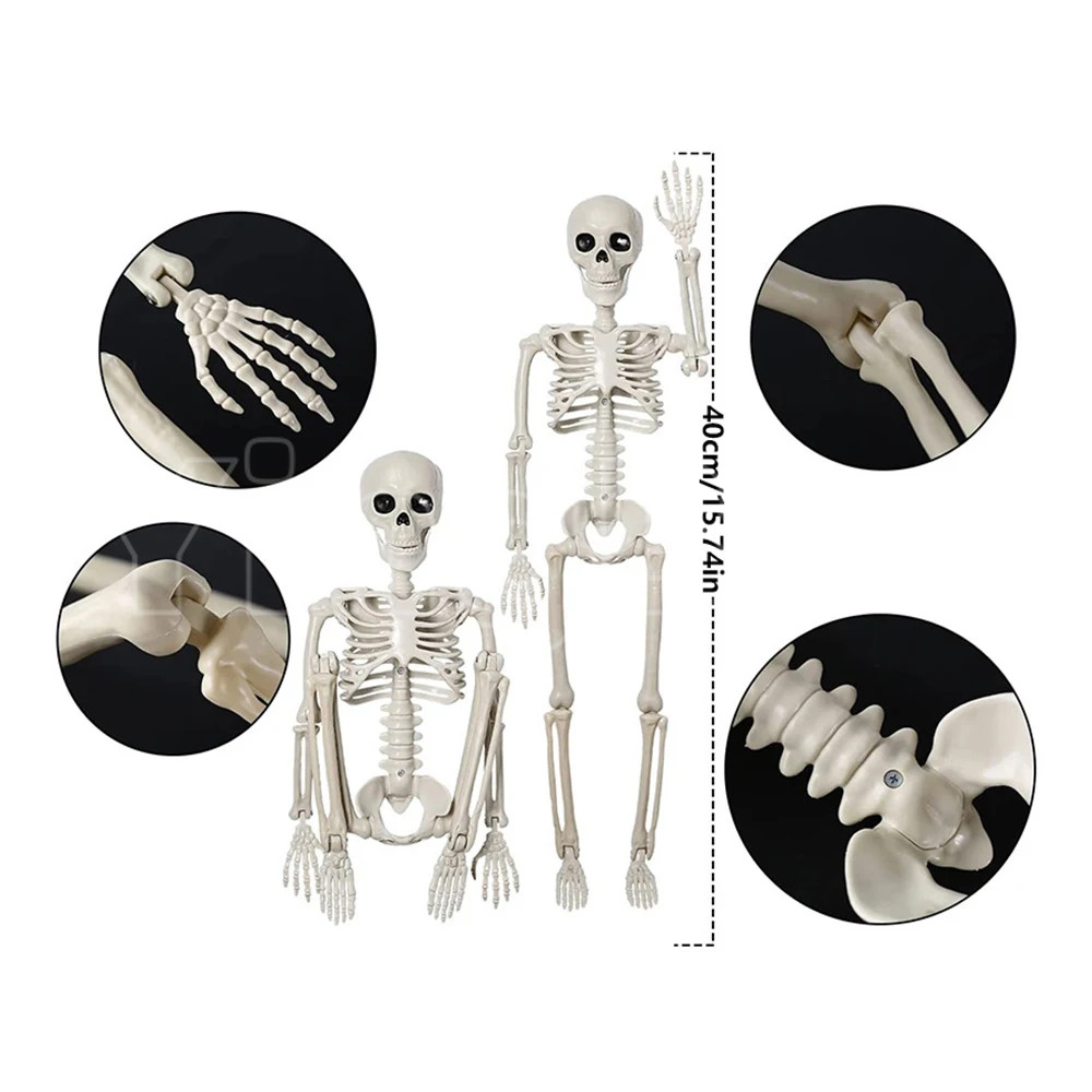 1pc Halloween Spooky Movable Joints Human Skeleton Decoration for ...