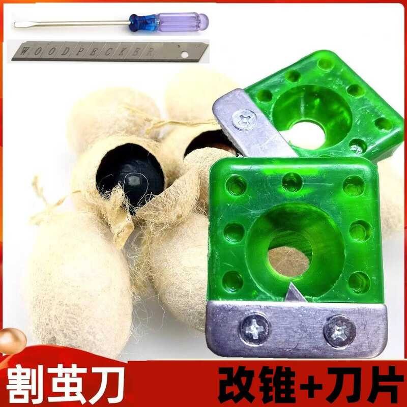 Shell Northeastern Tussah Silkworm Large Cocoon Cutter Chrysalis Opener ...
