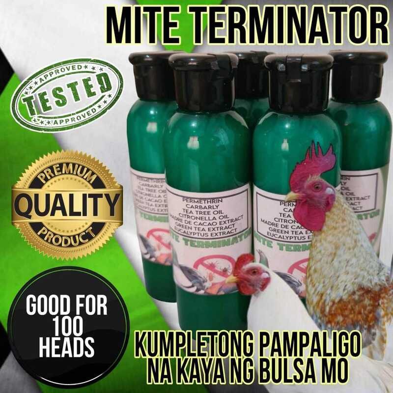 MITE TERMINATOR (With Mosquito Repel Action) D8a 3Zxcv | Shopee Philippines