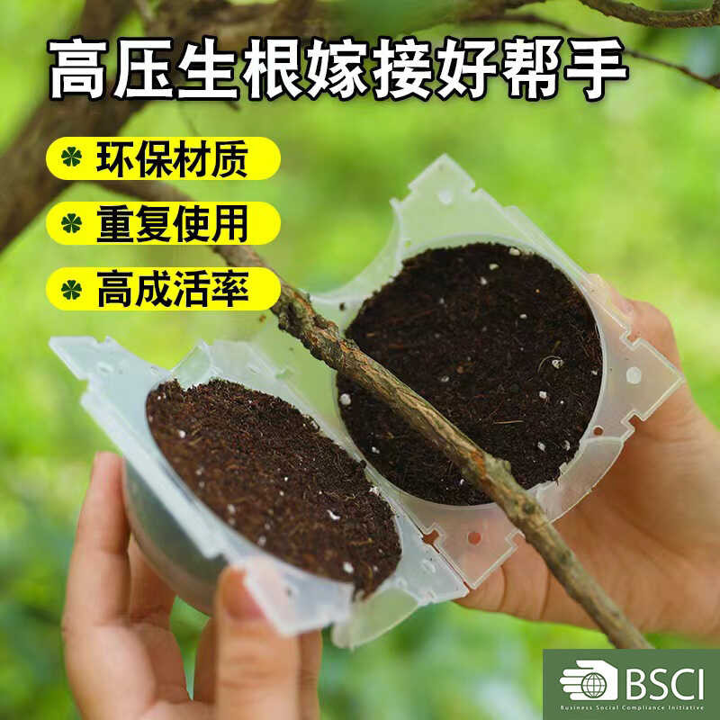 Plant High-Pressure Grafting Box Propagation Ball Rooting Kit Root ...