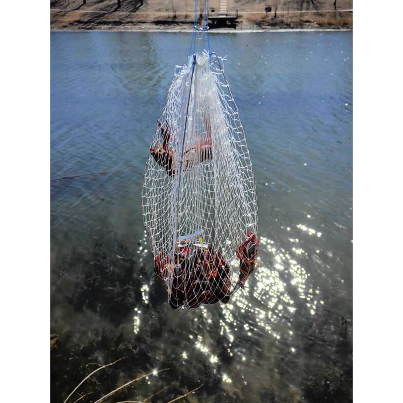 Crab Cage, Crayfish Cage, River Crab, Sea Crab, Lobster Automatic ...