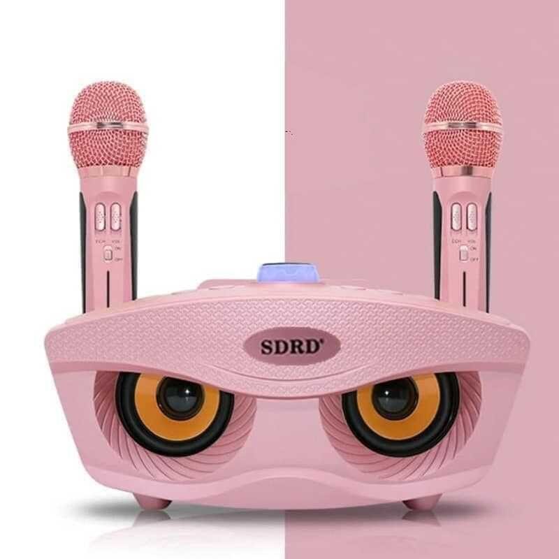SDRD Wireless Bluetooth Dual Microphone Karaoke Portable 3D Stereo ...