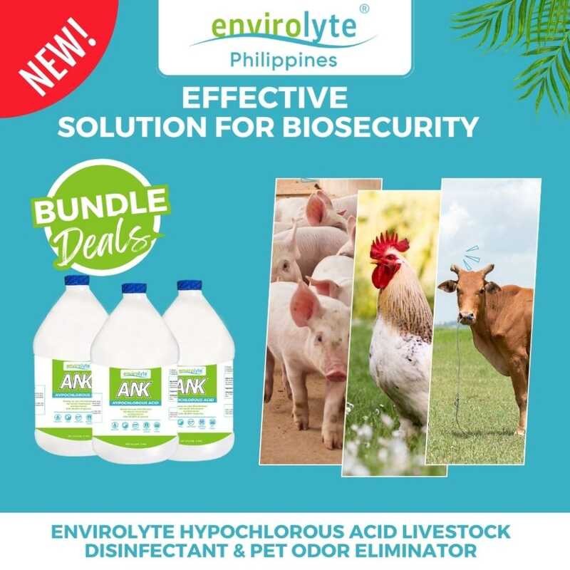 Effective Solution For Biosecurity, Odor Eliminator And Piggery ...