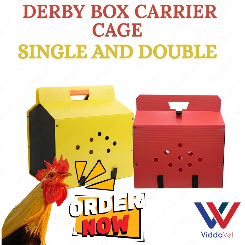 Sturdy Single and Double Derby Box Carrier Lightweight with Comfortable ...