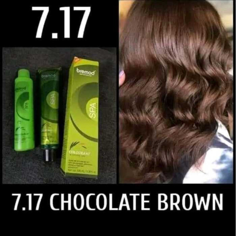 Bremod 7.17 Chocolate Brown Hair Color With Oxidizer 202 | Shopee ...