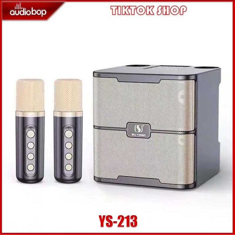 AUDIOBOP 120W Portable Professional Karaoke Dual Microphone Ys-213 ...