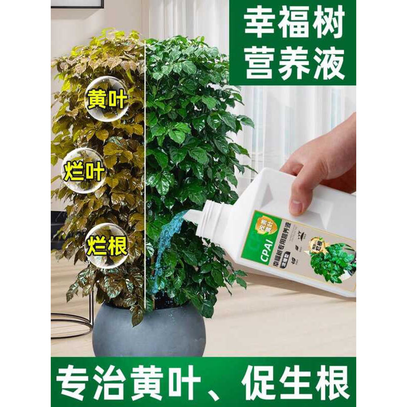 Happy Tree Special Nutrient Solution for Indoor Potted Green Plants ...