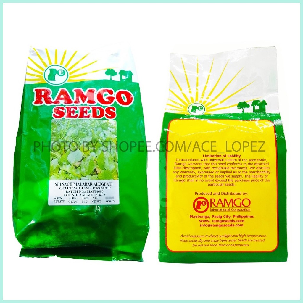 Ramgo Alugbati Green Spinach Lalabar Green Leaf Kilo Pack ALS2127 ...