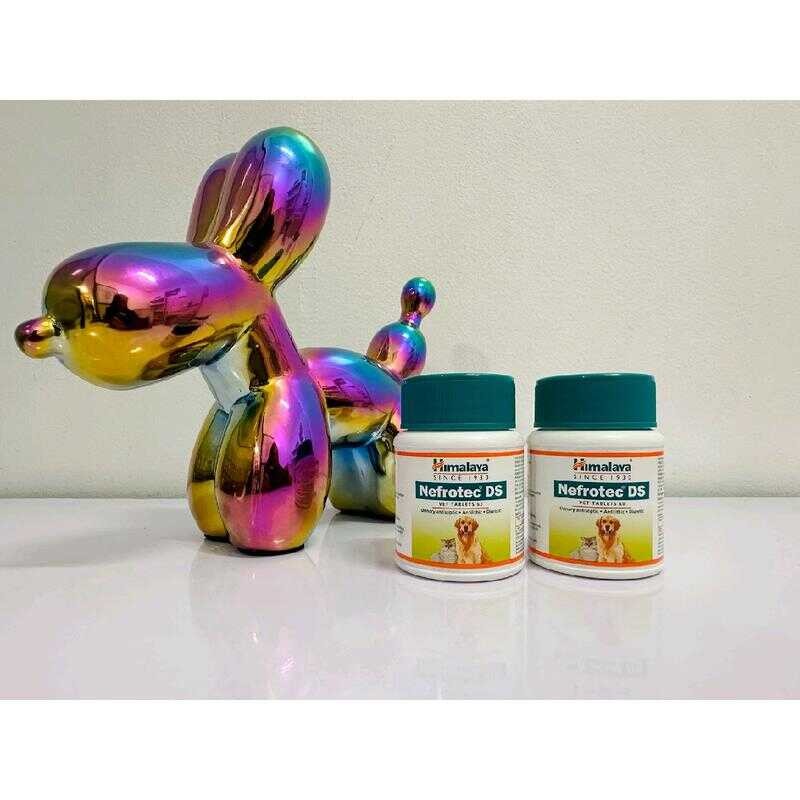Himalaya Nefrotec DS 60 Tablets For Cats And Dogs 49E 7D2 | Shopee ...