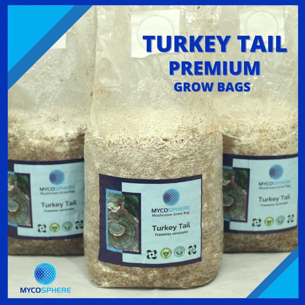 Grow Bag - Turkey Tail Mushrooms Grow Kit (2kg) | Shopee Philippines