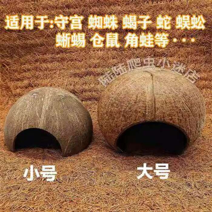 Natural Coconut Shell Hideout for Gecko Lizard Spider Snake Scorpion ...