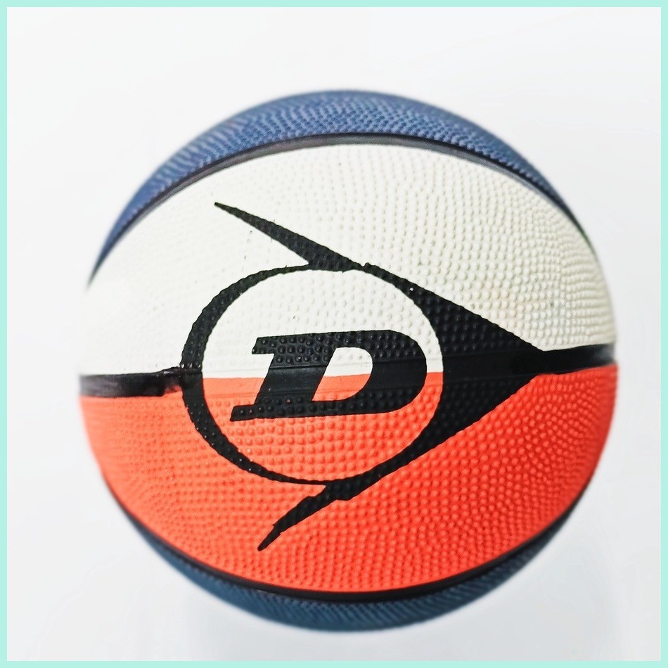 Dunlop Basketball Evo (Mini Ball) | Shopee Philippines