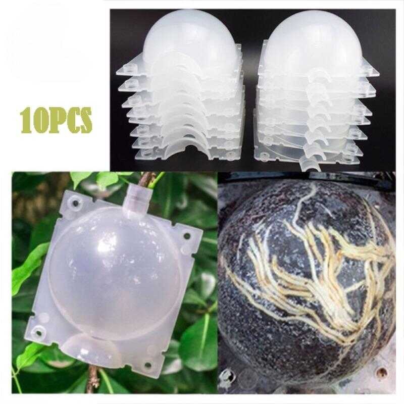 10Pcs Marcotting Ball Transparent High Pressure Plant Box Grafting For ...