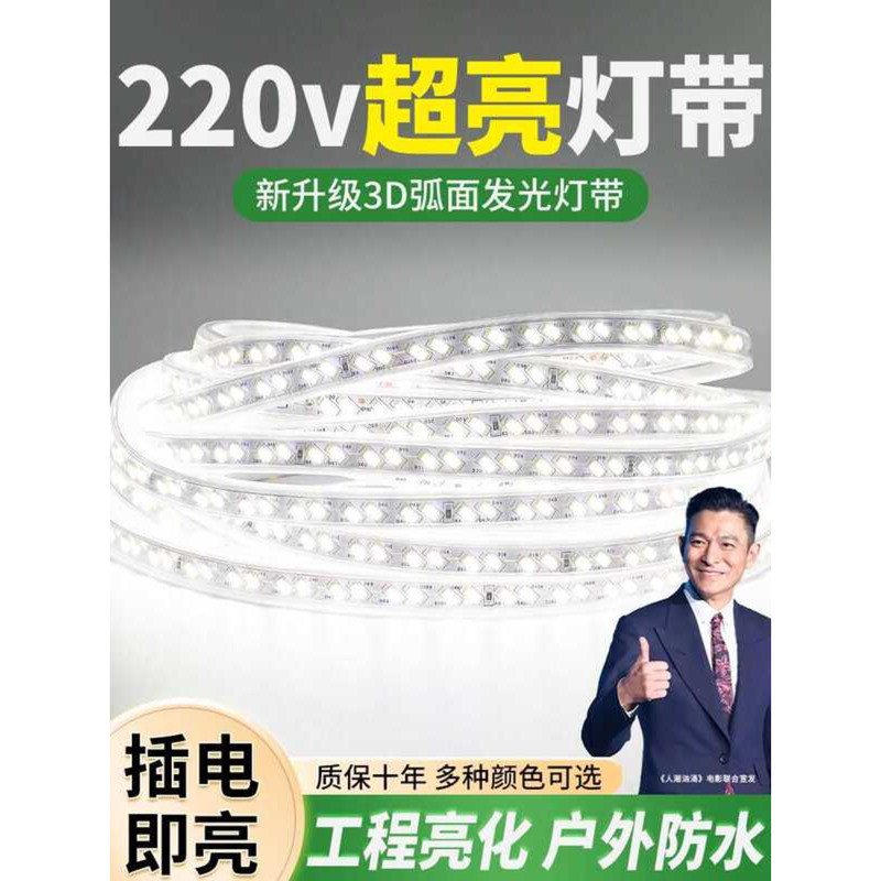 220V Super Bright LED Strip Outdoor Waterproof Engineering White ...