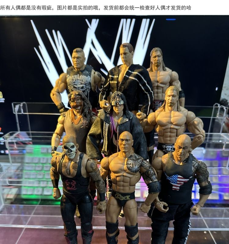 [Ready Stock] wwe Doll Dolph Pro Wrestler Dwayne Johnson Joint Super ...