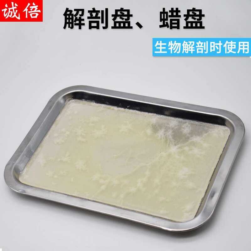 Wax Tray Used in Biological Dissection Junior and Senior High School ...