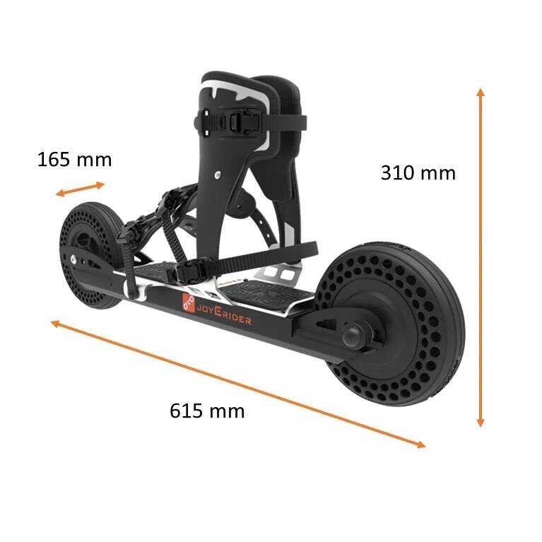 Xj Two Wheel Detachable Roller Skates For Adult Ine Skates Flashing ...