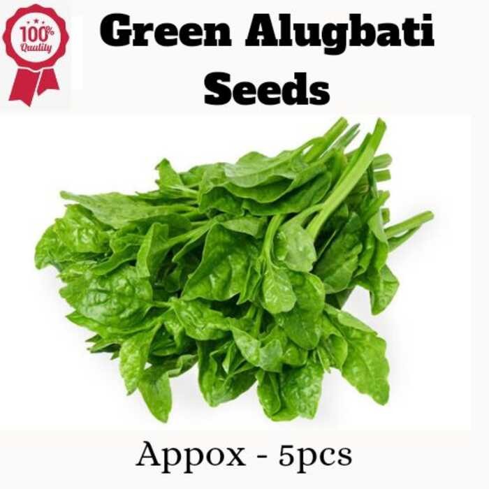 Green Alugbati ( 5 Seeds ) - 1Pack 1Fc | Shopee Philippines