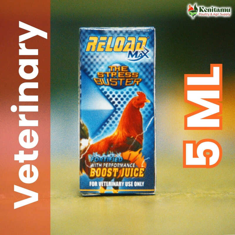 RELOAD PLUS 5Ml By: EXCELLENCE 00E 774 XCC | Shopee Philippines