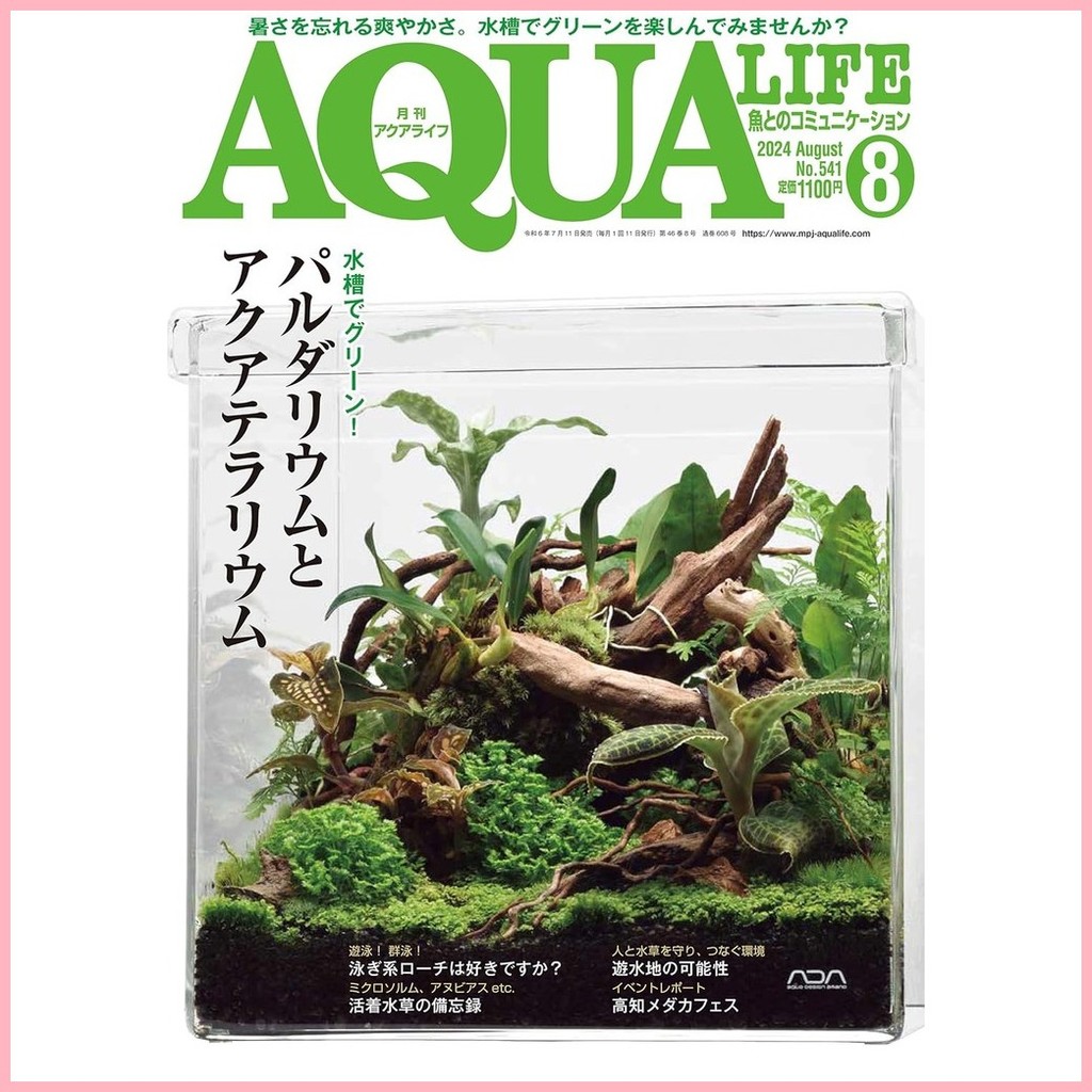 Brand-NEW Aqua Life Aug 2024 Paludarium & Aqua Terrarium Japanese ...