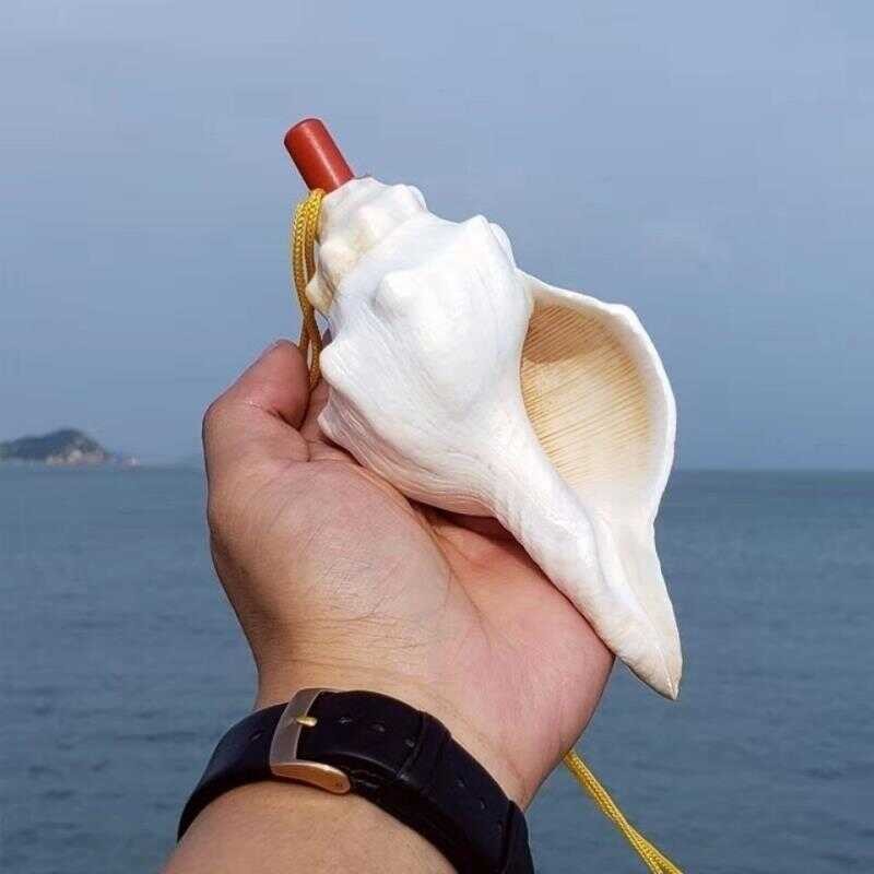 Natural Large Sea Snail Horn Children's Toy Loud Trumpet Mouth Whistle ...