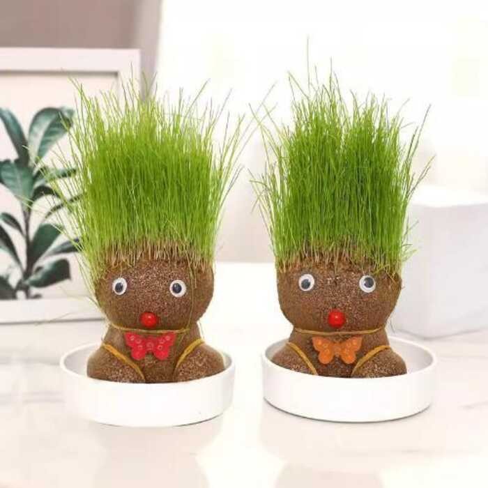 Buy 1 Get 2 Or Children's Growth Grass Doll Toys Indoor Desk Plant ...