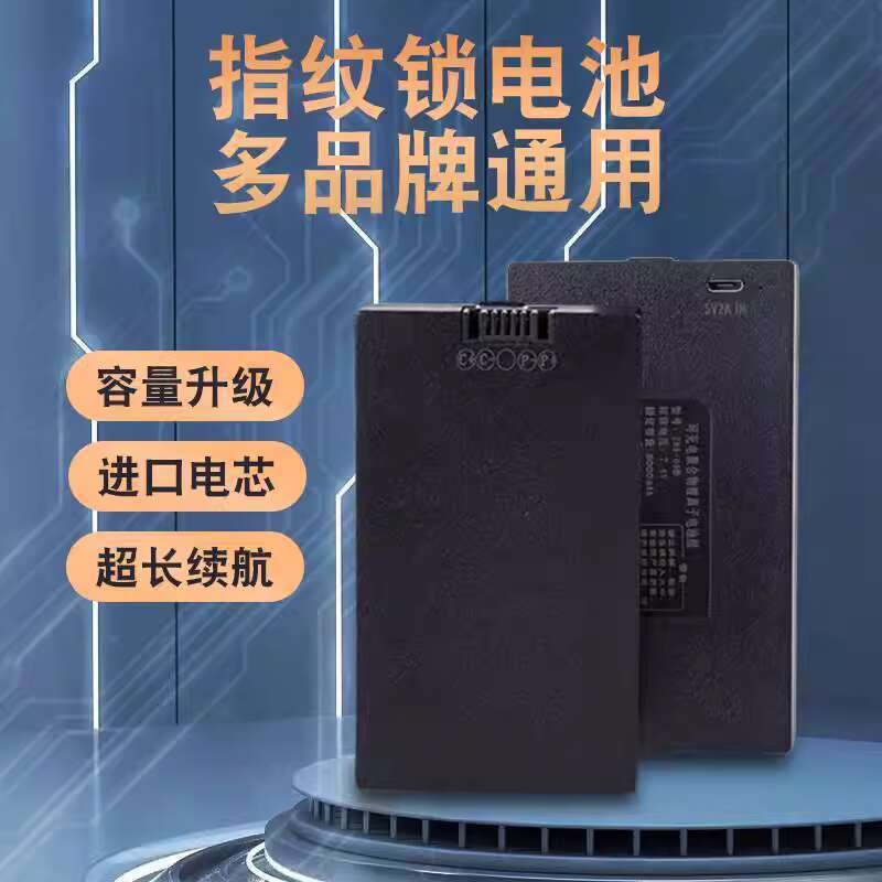 Fingerprint Lock Special Lithium Battery Electronic Lock Password Lock ...