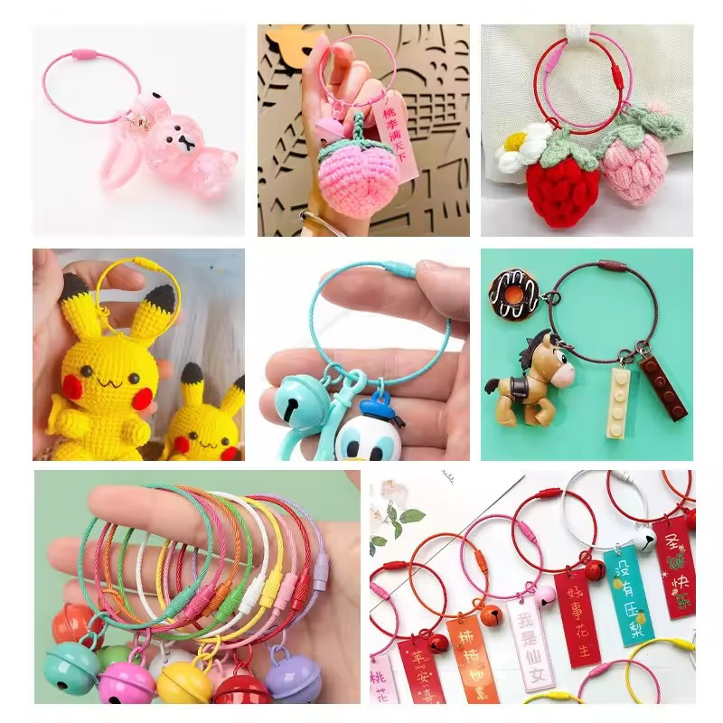 Heavy-Duty Metal Wire Keychain with Color-Sprayed Finish, Rotatable ...