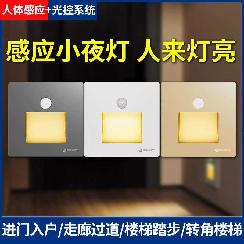 Nighttime Automatic Human Body Sensor Light, Lights Up When People ...