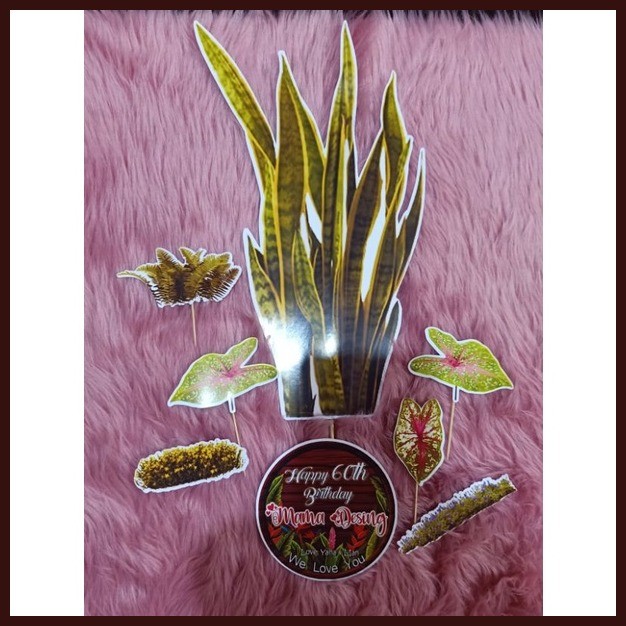 Plantita / Plants / Snake Plants theme cake topper | Shopee Philippines