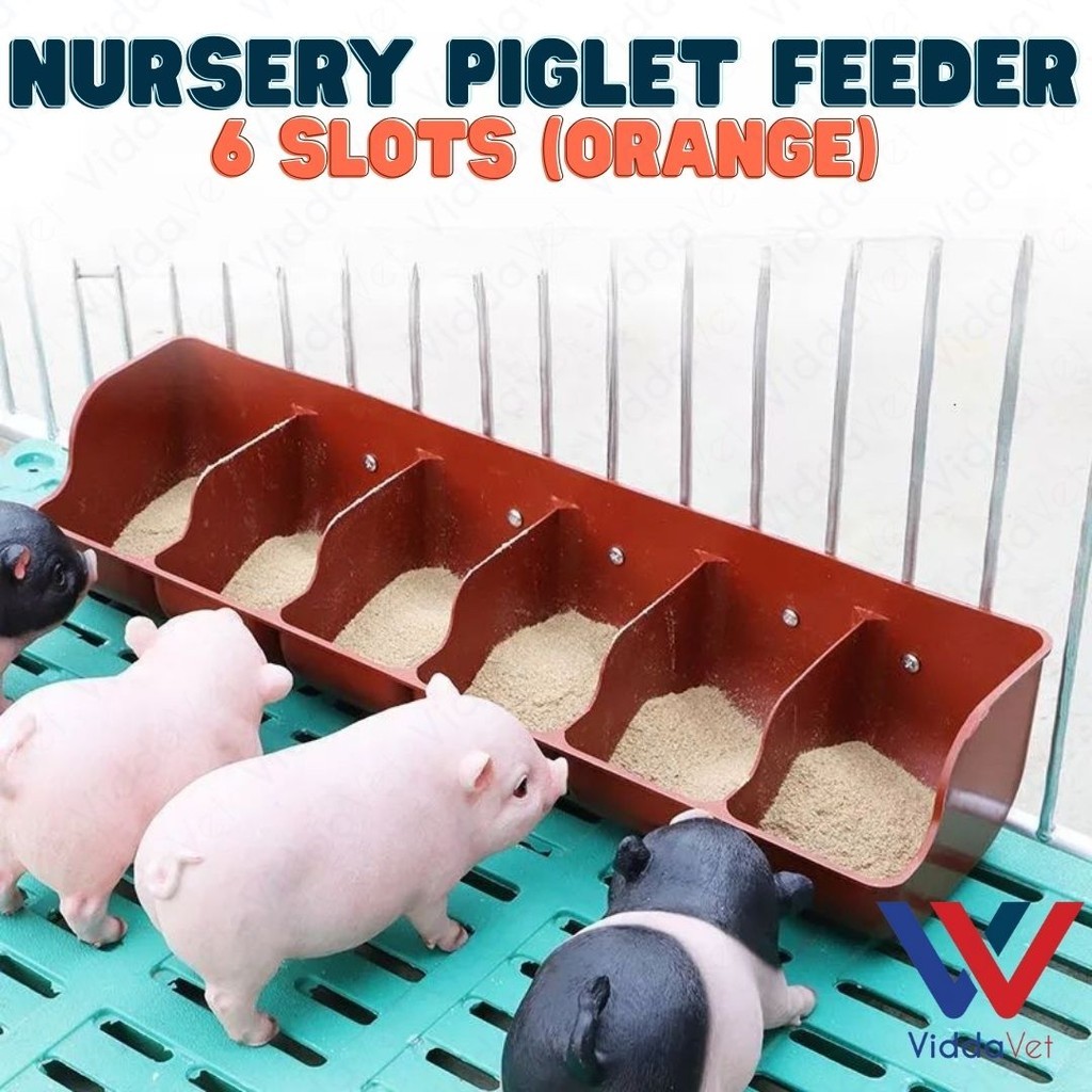 6 Slot Piglet Feeder Secure Mounting with Wing Nuts for Quick Farm ...