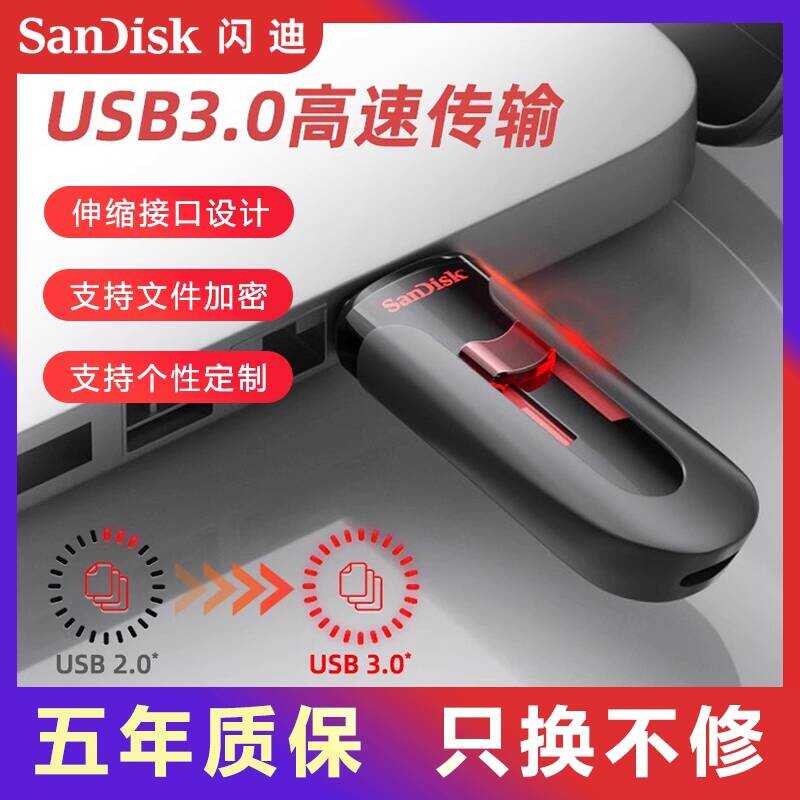 SanDisk Flash Drive 256GB 128GB 64GB 32GB Encrypted Anti-Copy Engraving ...
