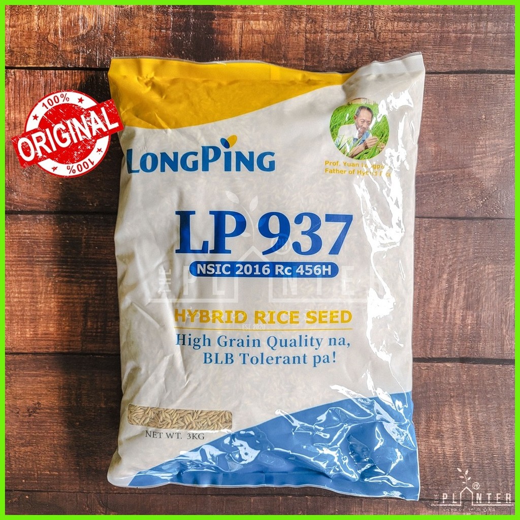Hybrid Rice Seeds - LONG PING JACKPOT PIONEER HATAO | Shopee Philippines