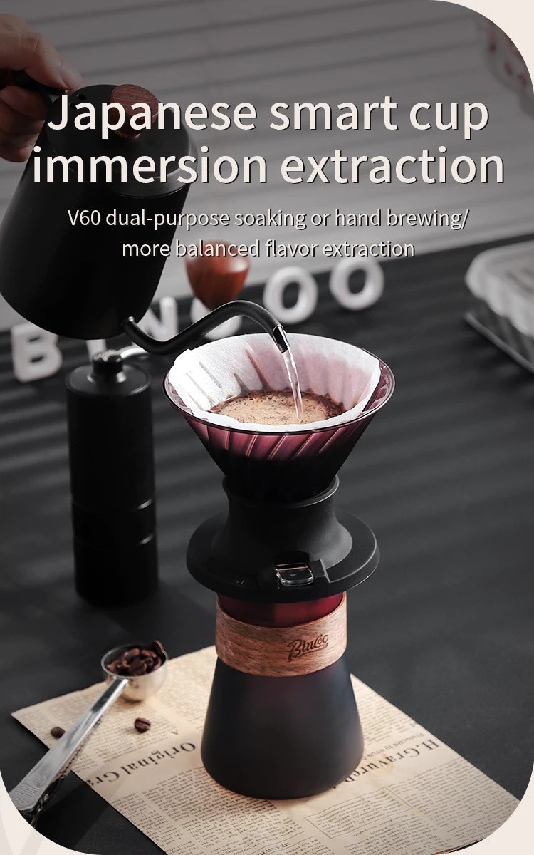 Pour-Over Glass Coffee Filter Coffee Pot Set Immersion Reusable Brewed ...