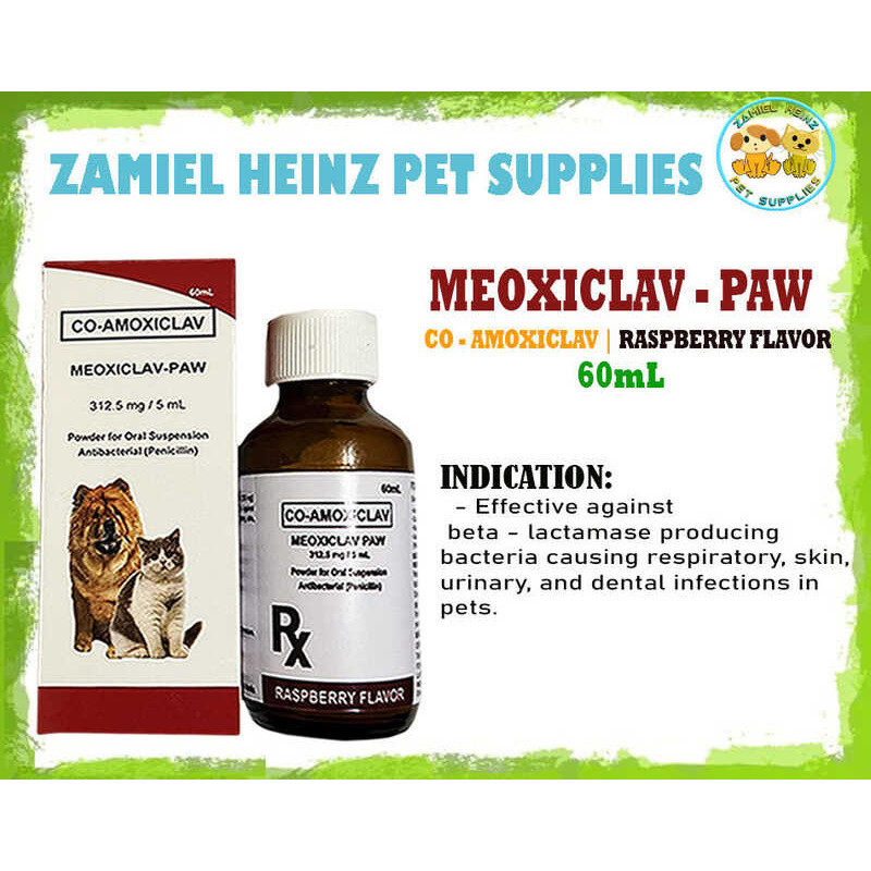 MEOXICLAV PAW ( CO - AMOXICLAV ) For Dogs & Cats | 60Ml 3 | Shopee ...