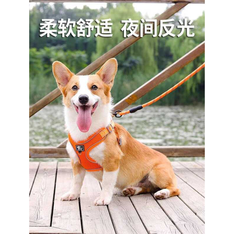 Leash Vest Style for Small and Medium Dogs Corgi Shiba Inu Adjustable ...