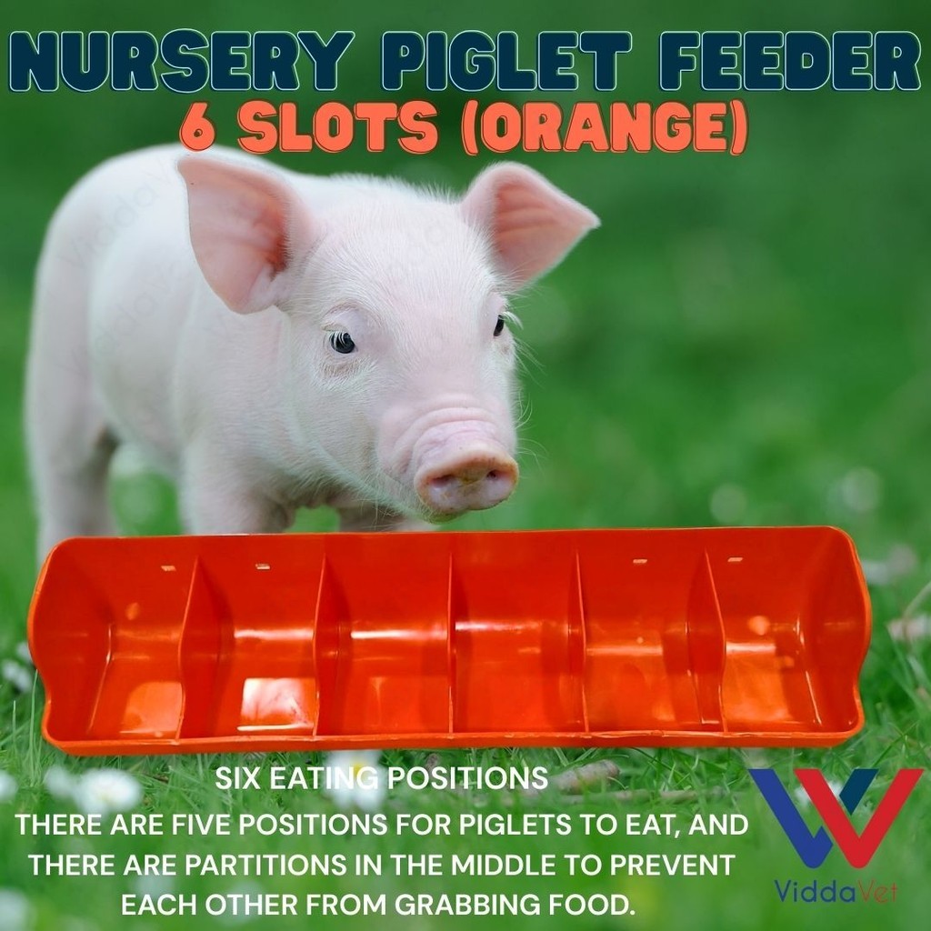 6 Slot Piglet Feeder Secure Mounting with Wing Nuts for Quick Farm ...