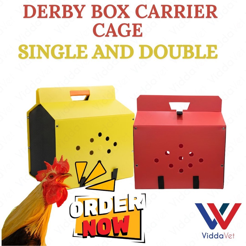 Quality Derby Box Bird Transport Cage with Handle Ventilation Single ...