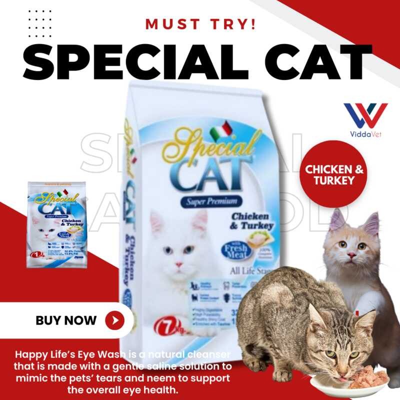 SPECIAL CAT FOOD Italian High Premium Dry Cat Food With Chicken And ...