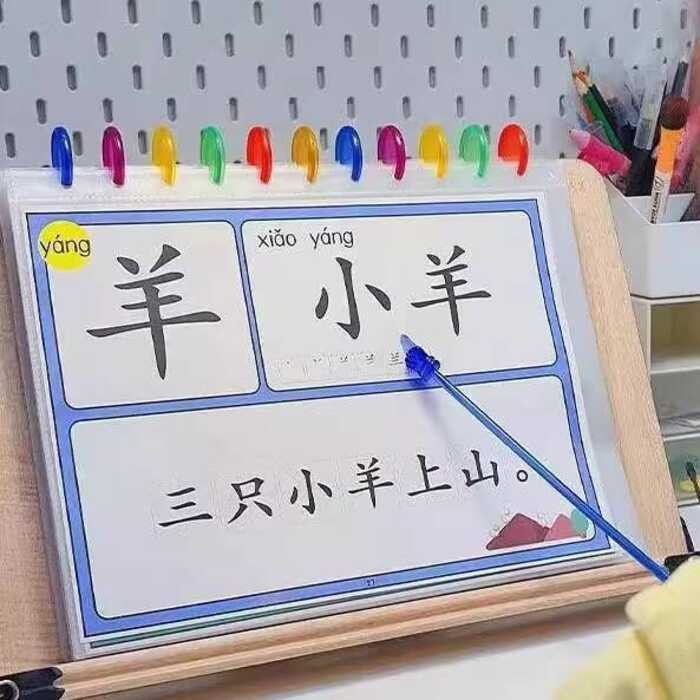My Chinese Book Enhg Literacy Big Character Pinyin Editi Flash Cards ...