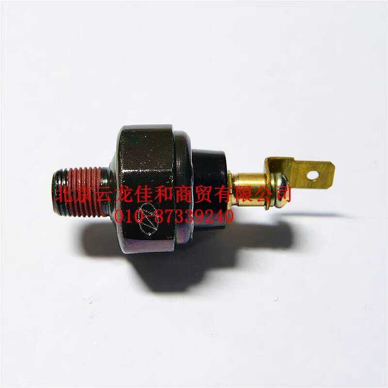 Hyundai Sonata/Elantra/Rui Feng/Kia Sorento/Cerato/Rio/Oil Sensor Plug ...