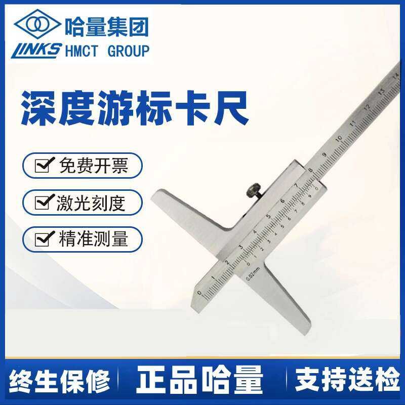 Haliang High Precision Stainless Steel Depth Vernier Caliper 0-200-300 ...