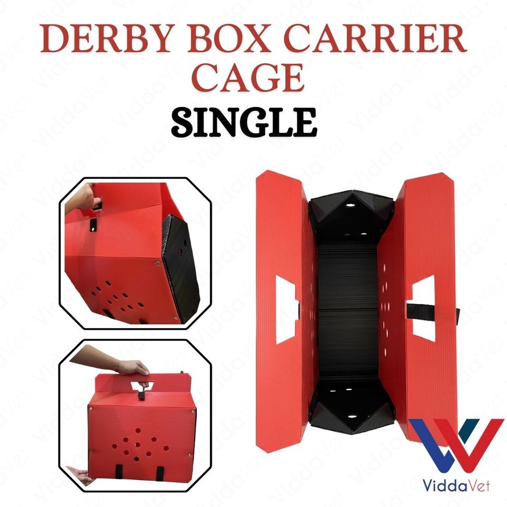 Quality Derby Box Bird Transport Cage with Handle Ventilation Single ...