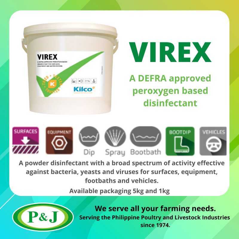 VIREX Disinfectant FDA | Shopee Philippines