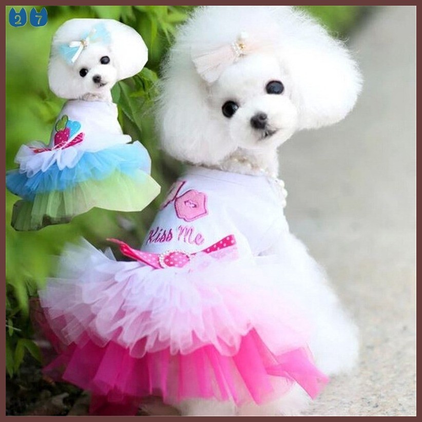 Dog Clothes for Small Dogs Dress Sweety Princess Dress Spring Summer ...