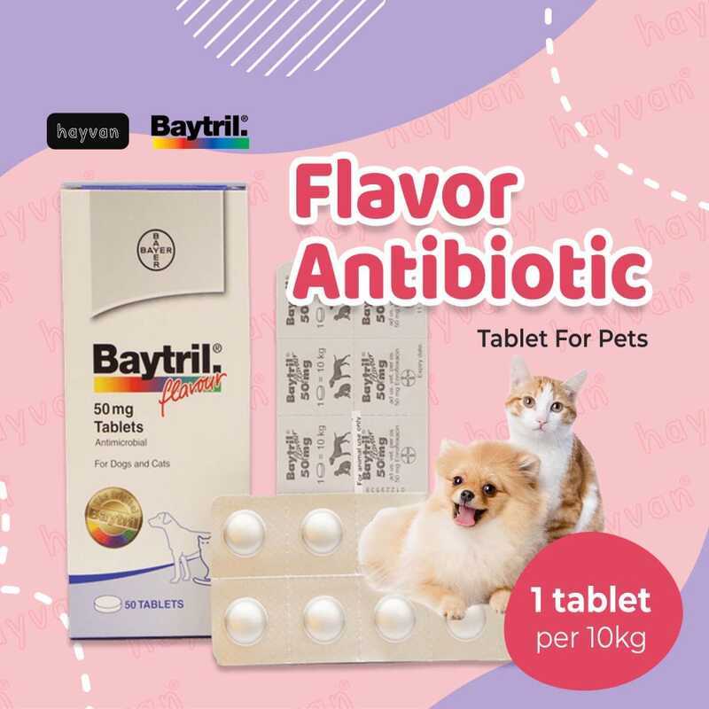 BAYTRIL 50Mg Flavor Antibiotic Tablet For Pets 3 0C8 | Shopee Philippines