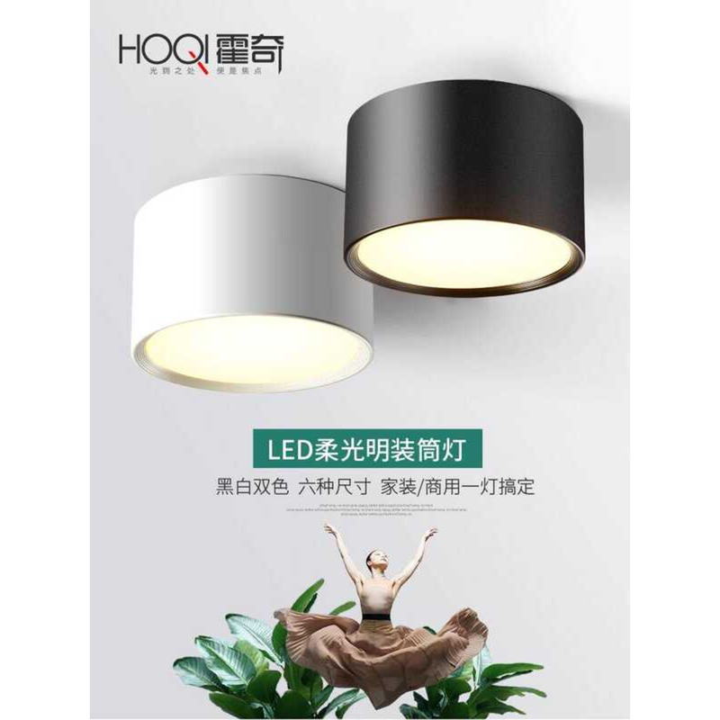 Surface Mounted Downlight led Chandelier Small Ceiling Light Nordic ...