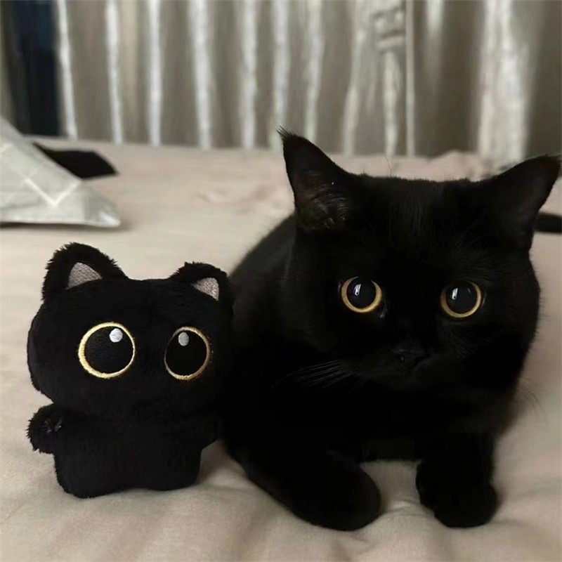 Y2K Camera Black Cat Plush Keychains Couple Bag Pendant Trinket Lover's ...